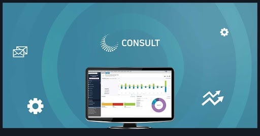 CONSULT ® - Invoicing Software for IT Staffing Companies